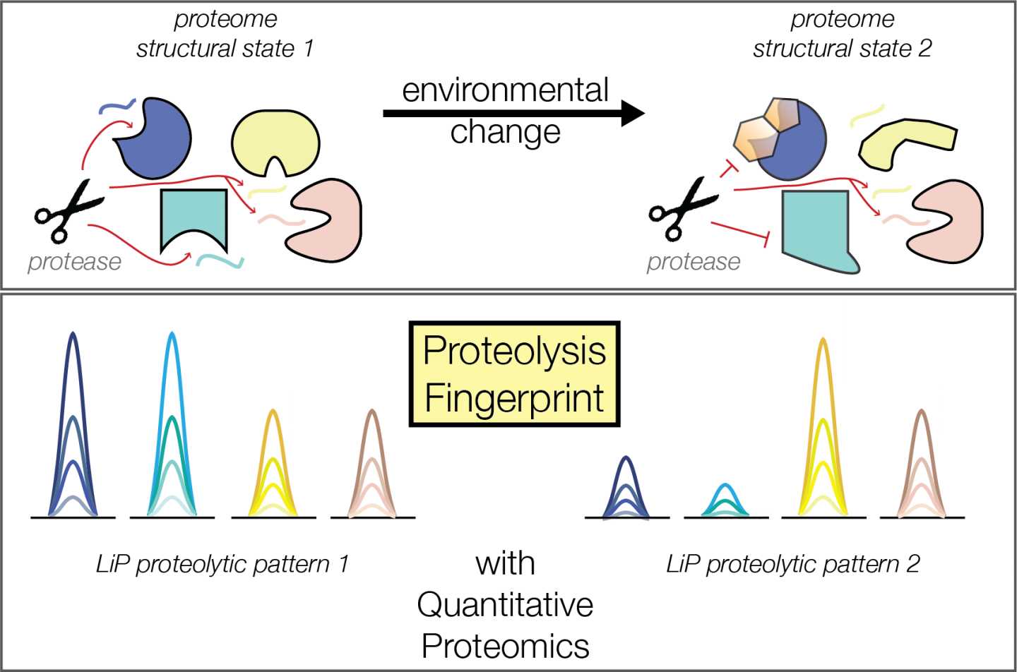 Scientific Vision – Ilaria Piazza Laboratory